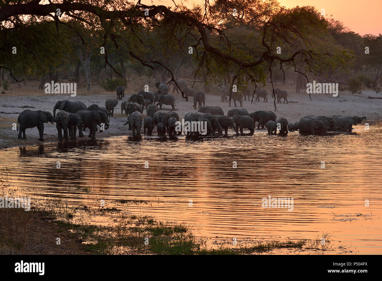 Core area hi-res stock photography and images - Alamy