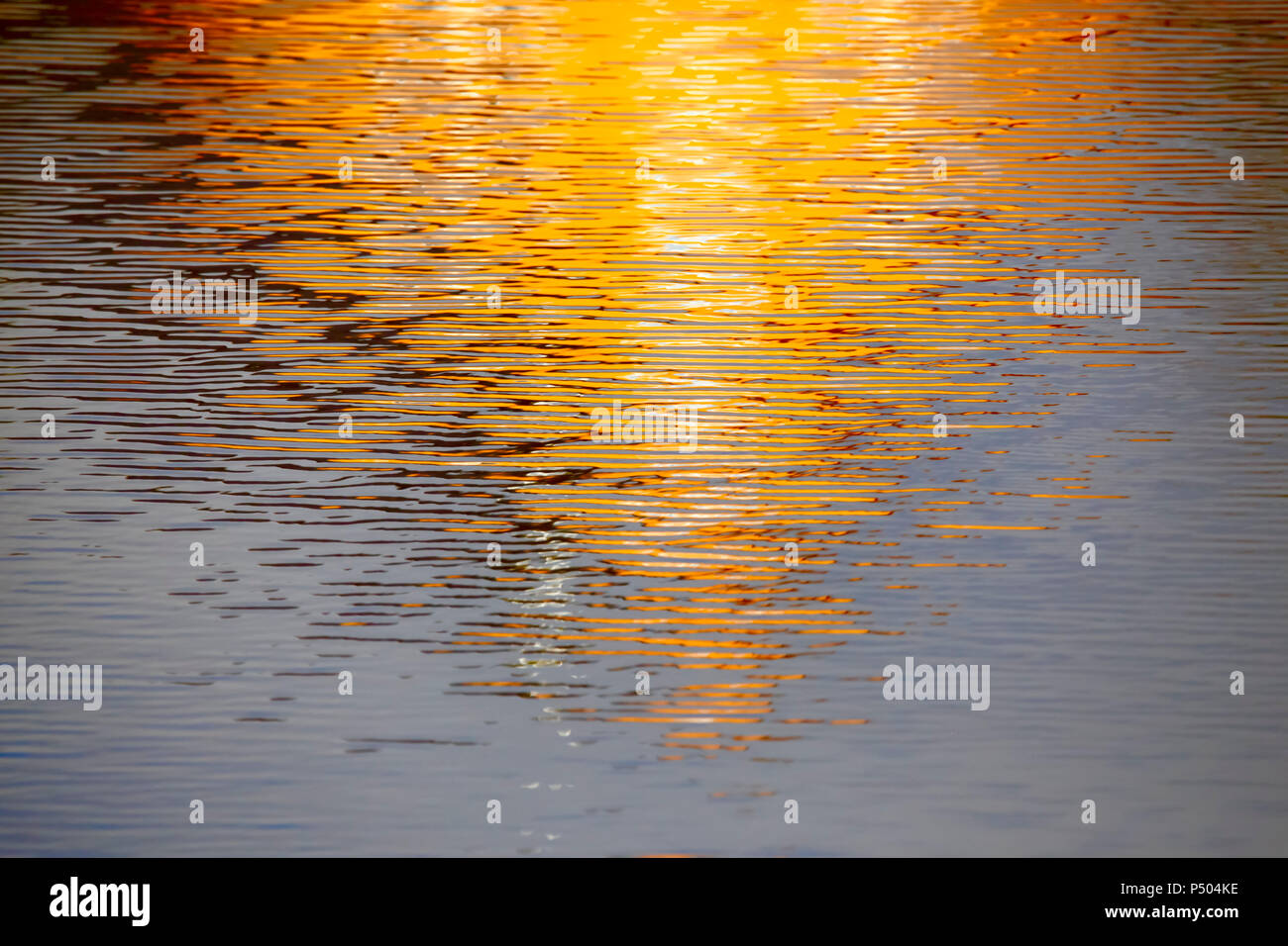 Germany, yellow water reflection Stock Photo - Alamy