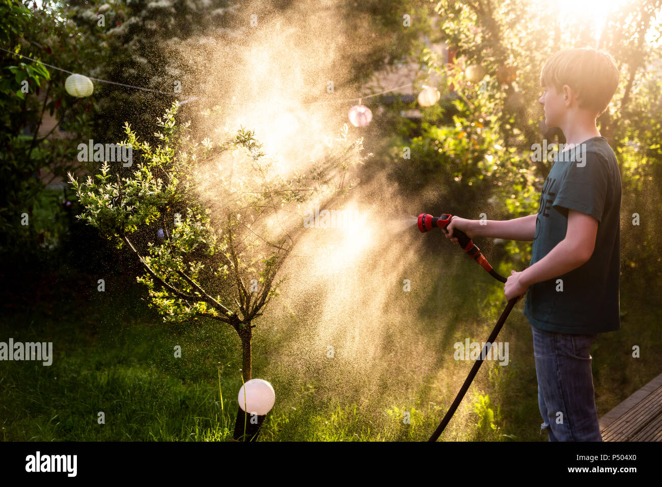 Using hose hi-res stock photography and images - Alamy