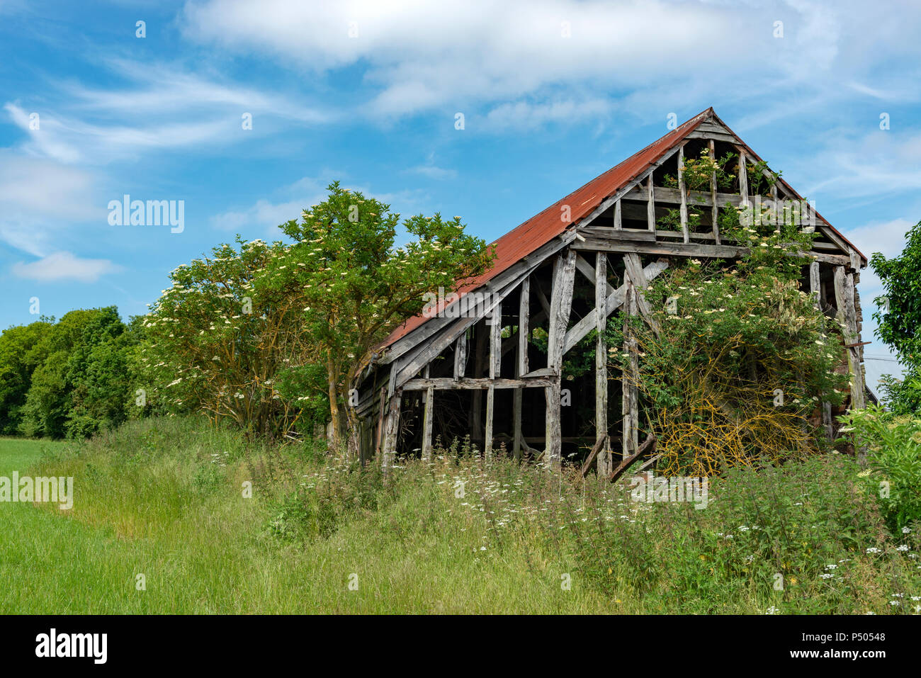 Historic Farm Barns