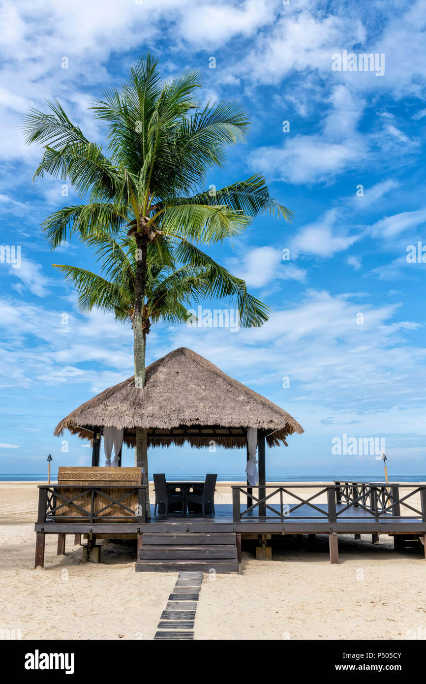 Palm tree and Pagoda on the beach in Borneo, Malaysia Stock Photo - Alamy