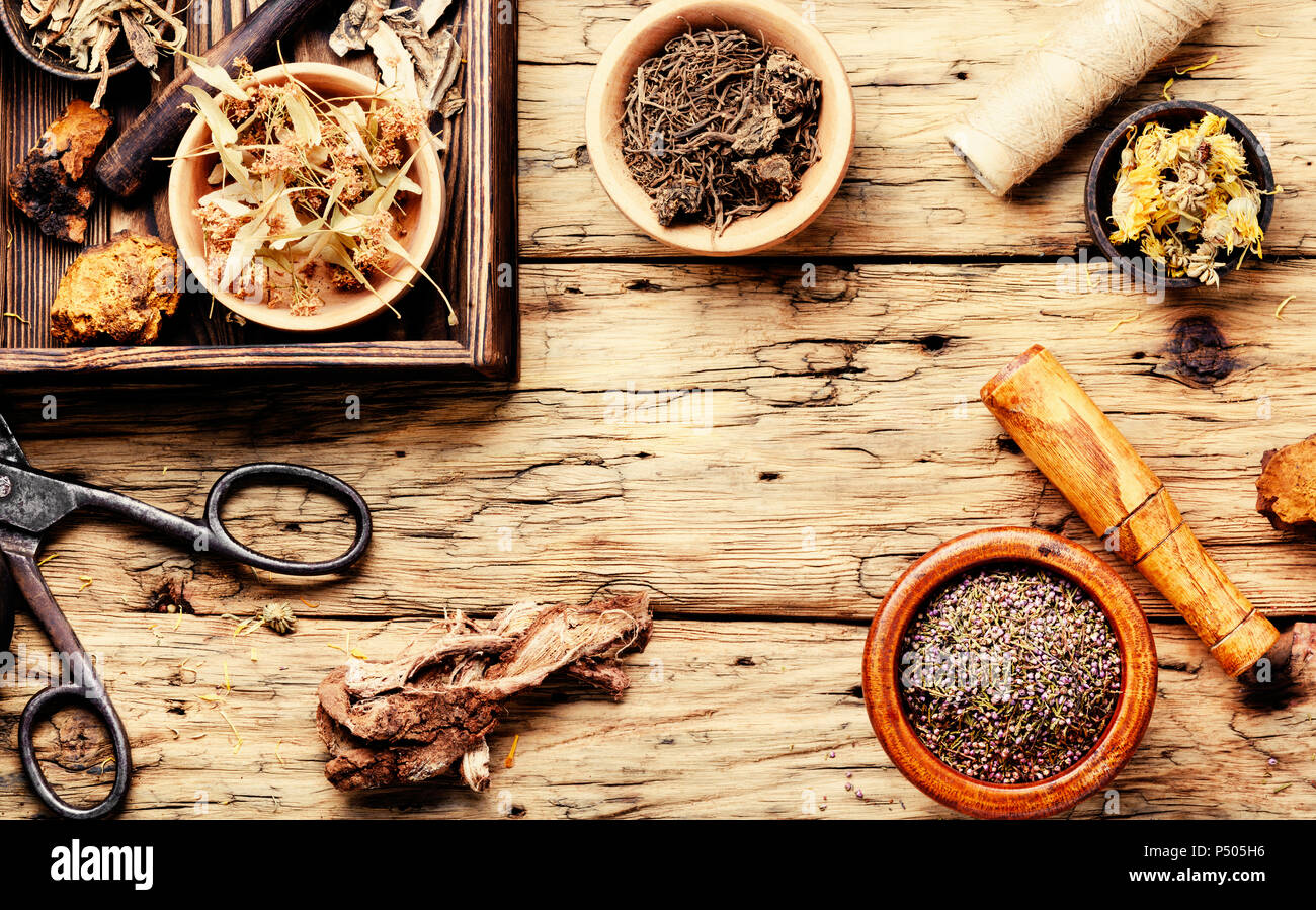 Natural herbal medicine,medicinal herbs and herbal medicinal root ...