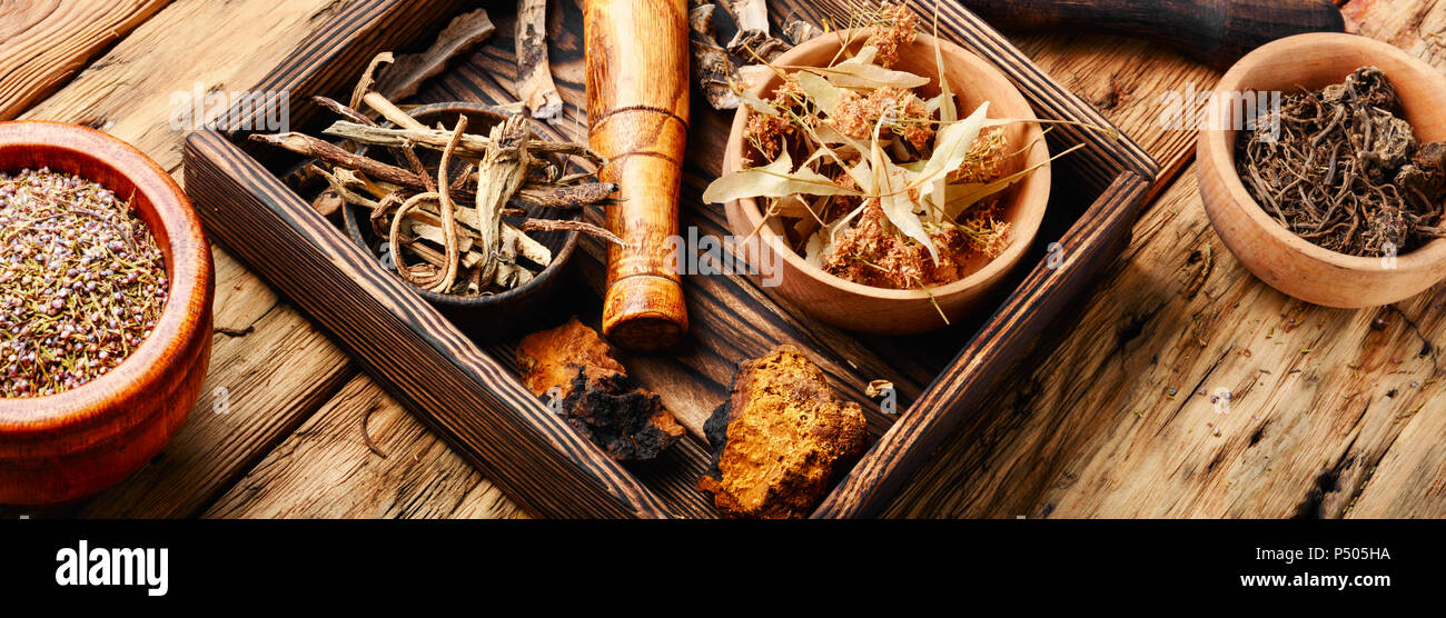 Herbal medicine,medicinal herbs and herbal medicinal root.Natural herbs ...