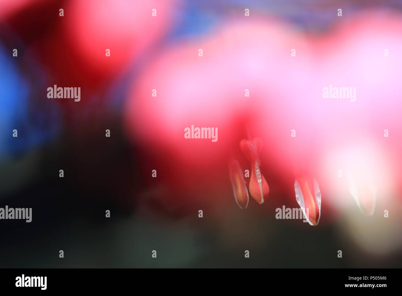 Tenderness in art hi-res stock photography and images - Alamy