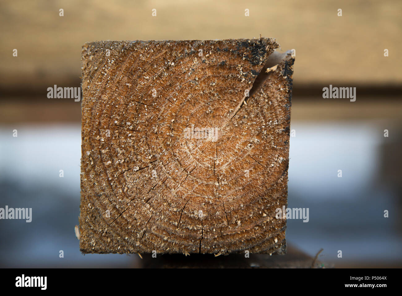 The end of a wooden square beam with splits and annual rings on a ...