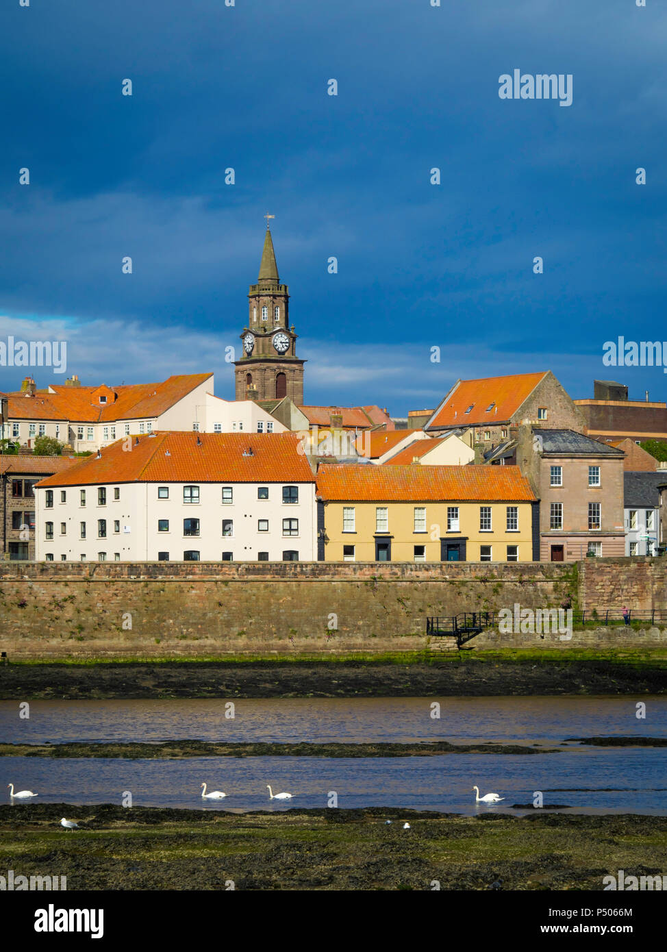 Berwick on tweed berwick on tweed northumberland hi-res stock ...