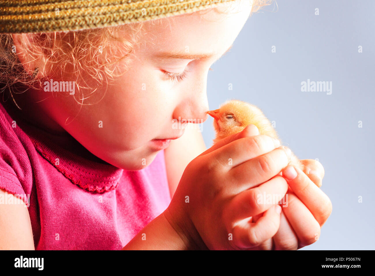 little girl and newborn chicken nose to the nose, children, cute ...