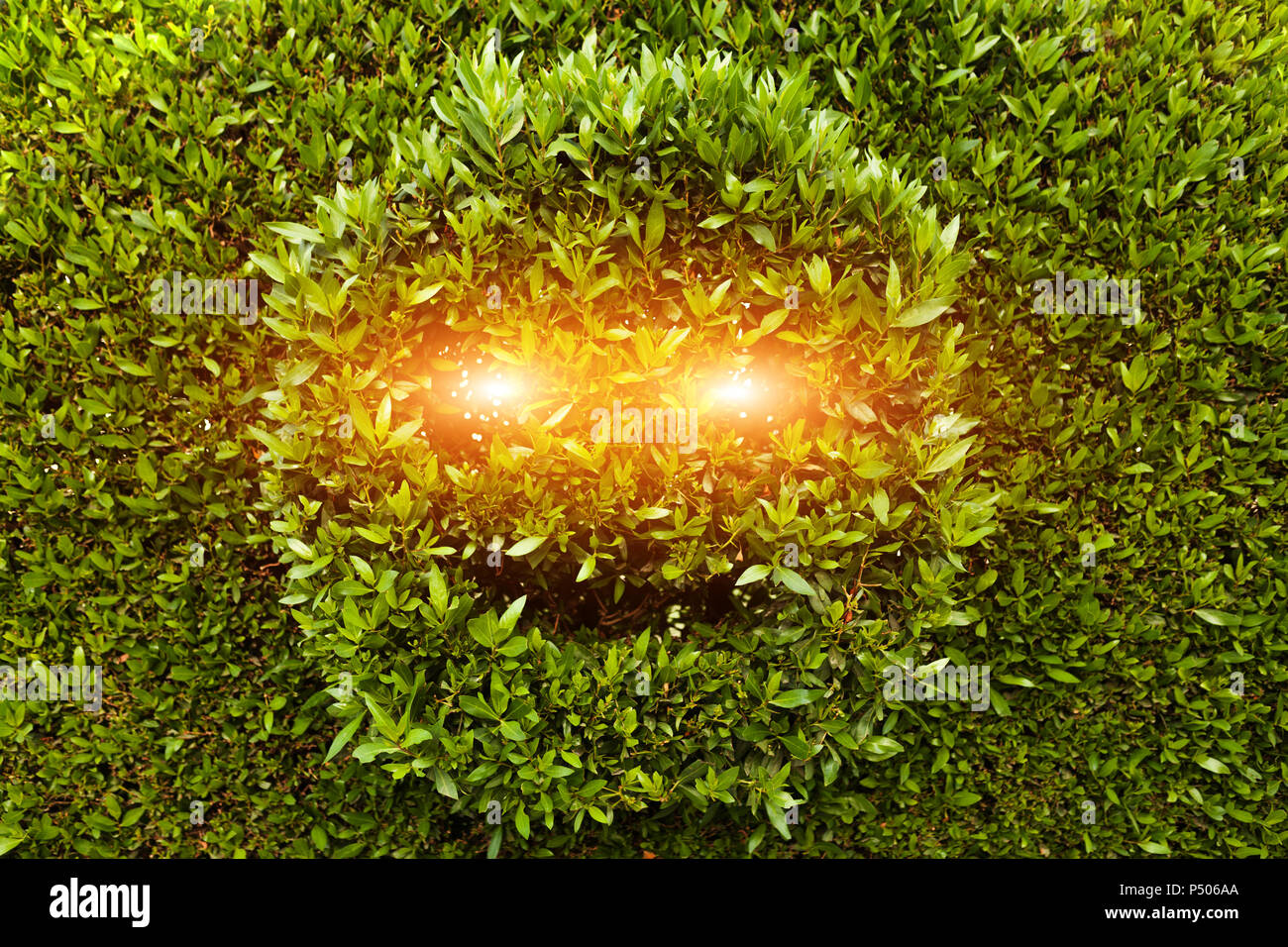 evil face of mother nature with a smile made of green leaves on the ...