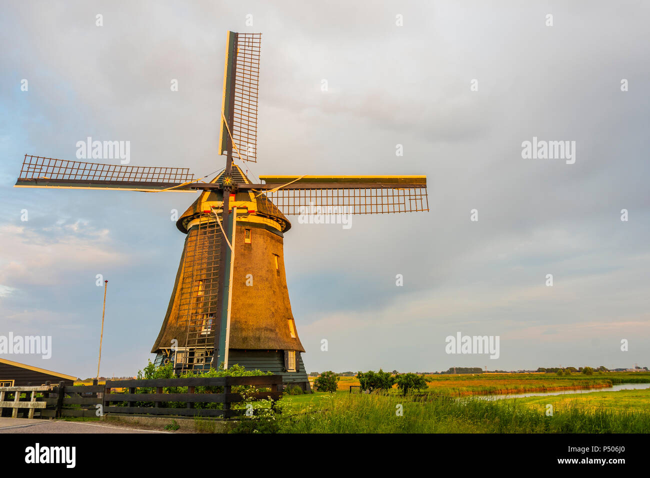 The afternoon falls in the Dutch countryside. we see a Close-up in ...