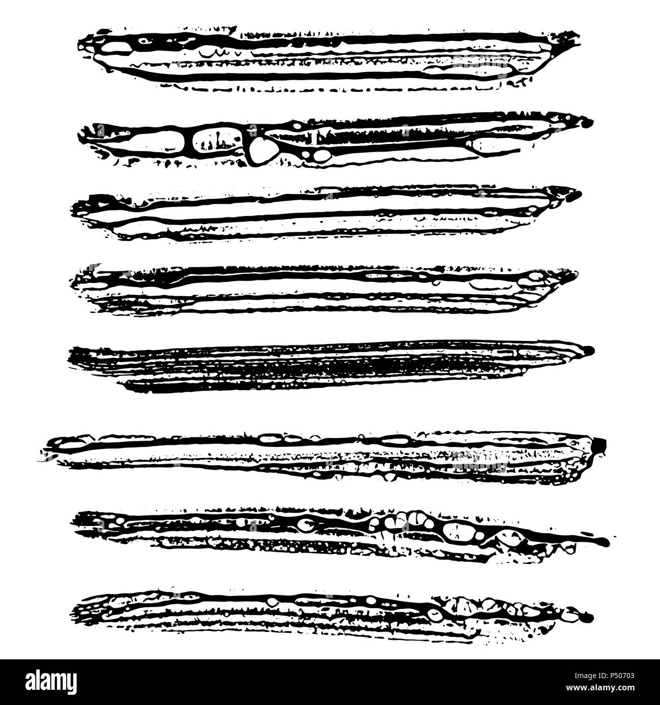Ink vector sponge brushes. Vector illustration. Grunge hand drawn ...