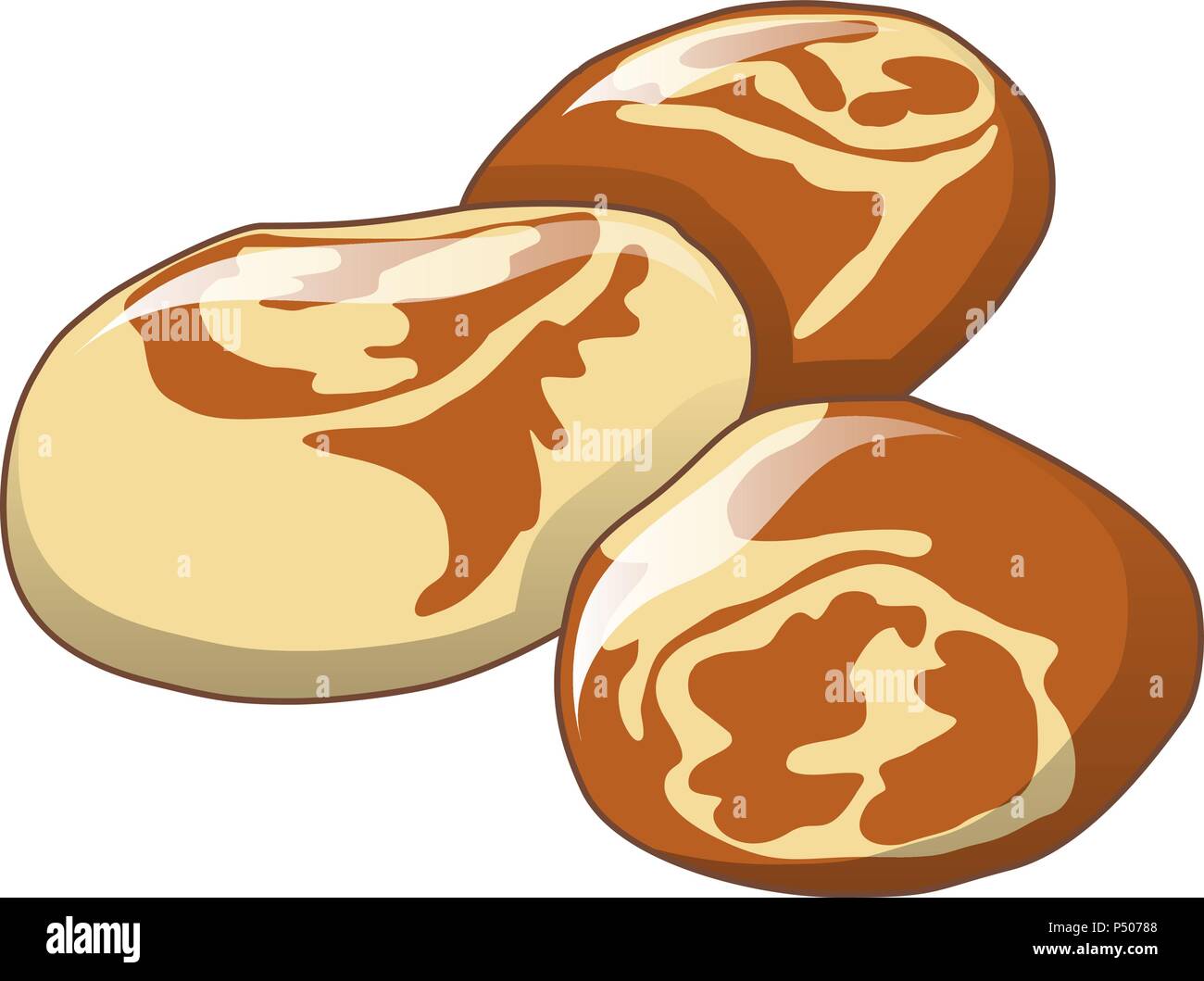 Brazilian botanic Stock Vector Images - Alamy