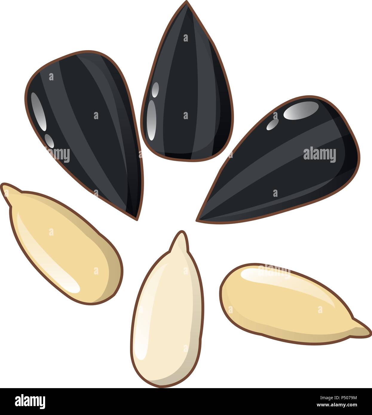 Sunflower seeds icon, cartoon style Stock Vector Image & Art - Alamy Sunflower seeds icon, cartoon style Stock Vector Image & Art - Alamy