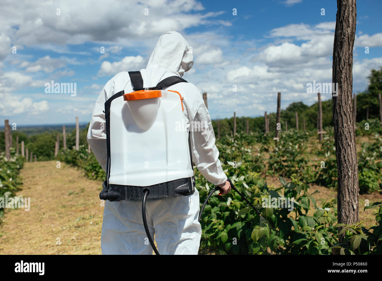 Man Spraying Pesticides High Resolution Stock Photography and Images ...