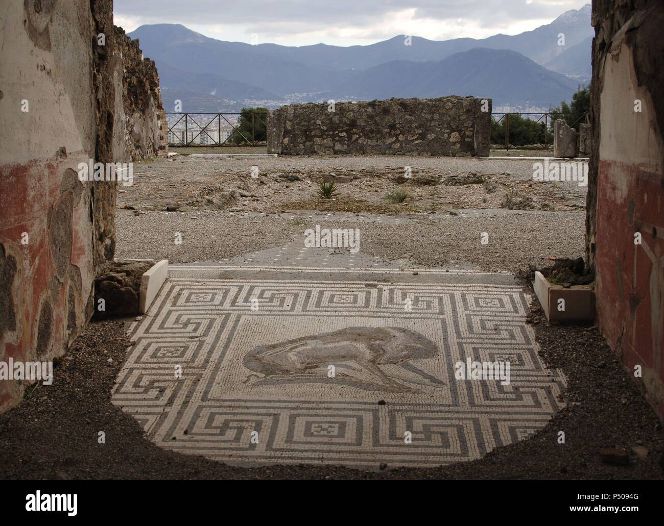 Mosaic tile pompeii roman hi-res stock photography and images - Alamy