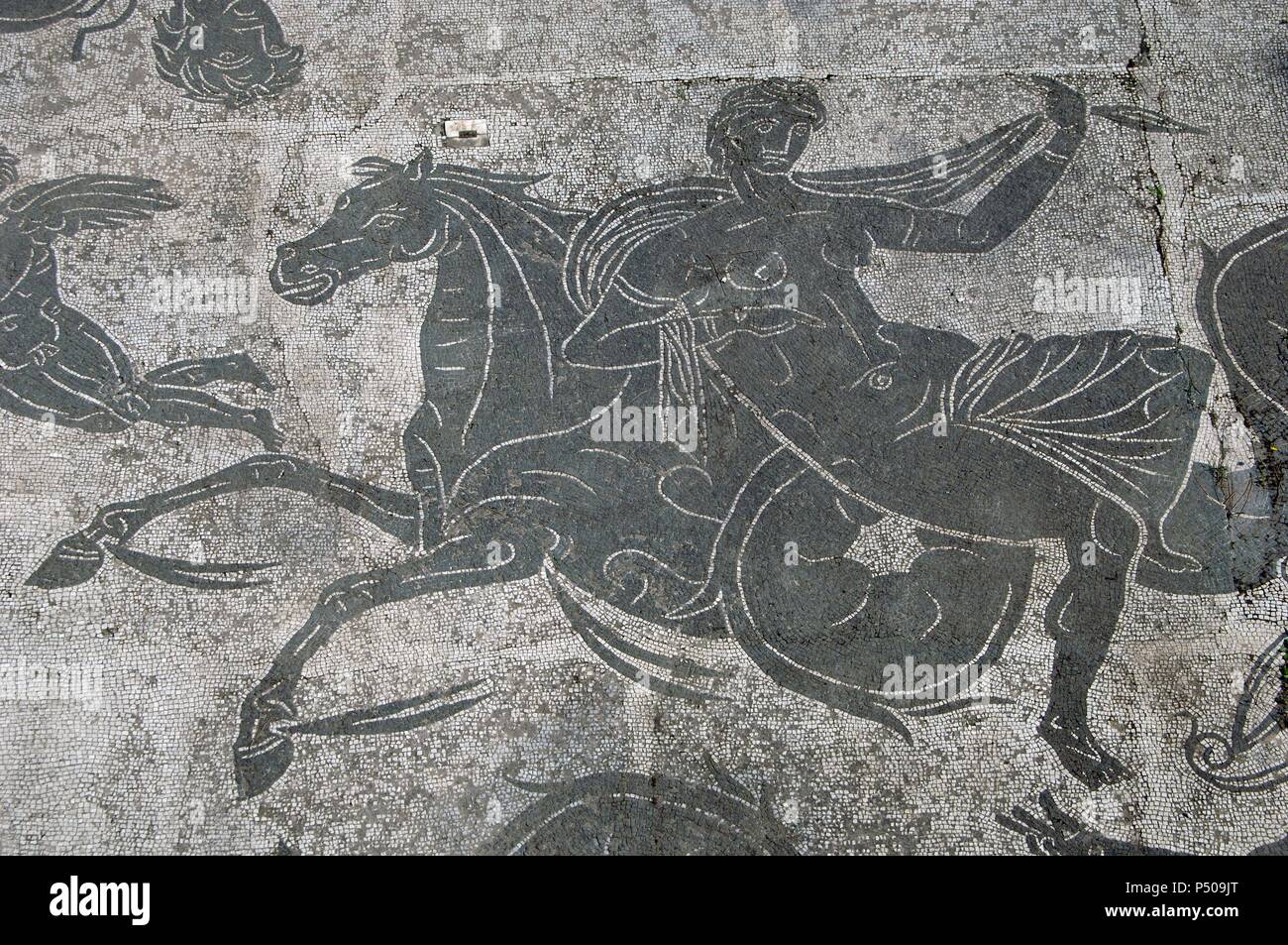 Roman snake mosaic hi-res stock photography and images - Alamy