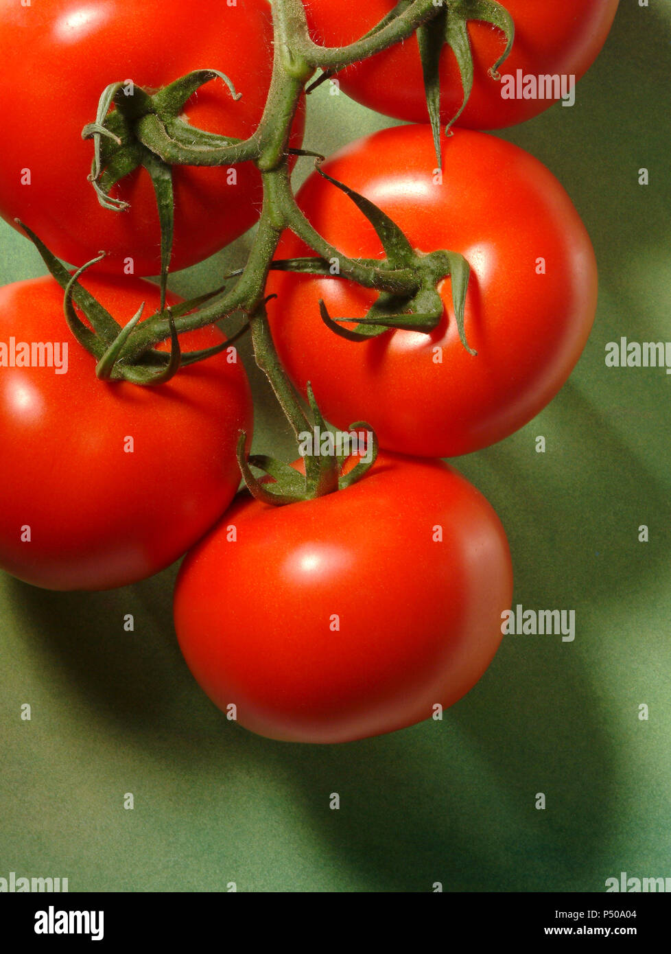 Vine Ripened Tomatoes Stock Photo - Alamy