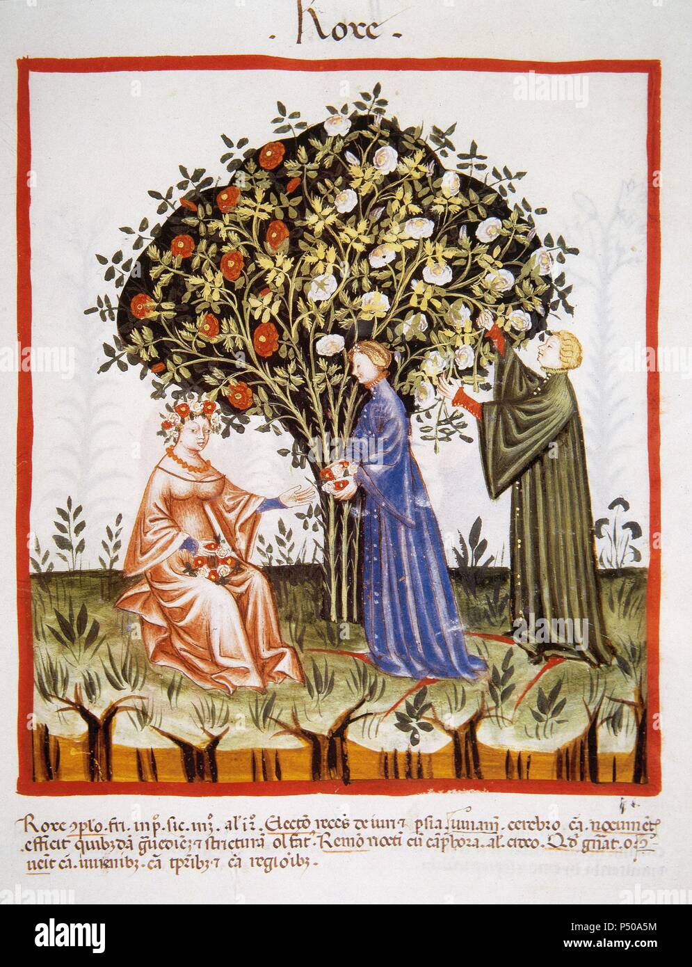 Tacuinum Sanitatis. Medieval Health Handbook, dated before 1400, based ...