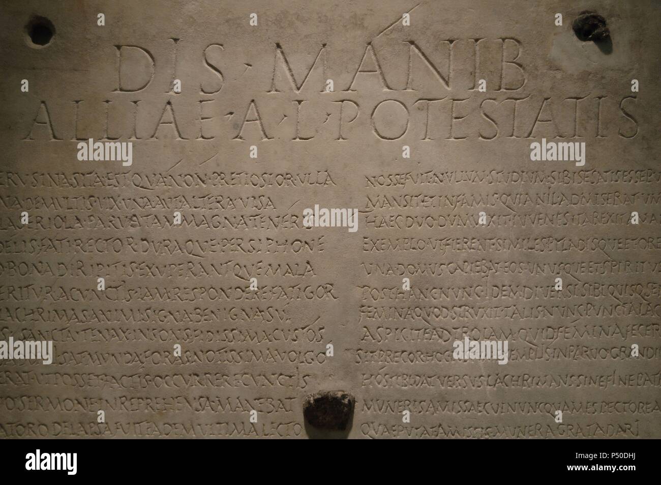 Allia potestas hi-res stock photography and images - Alamy