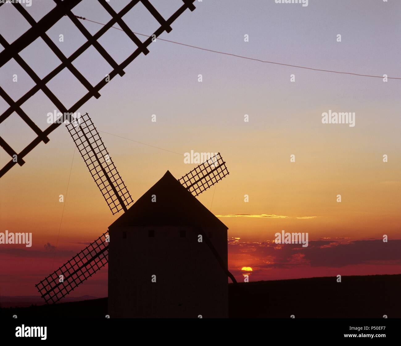 Mancha de sol hi-res stock photography and images - Alamy