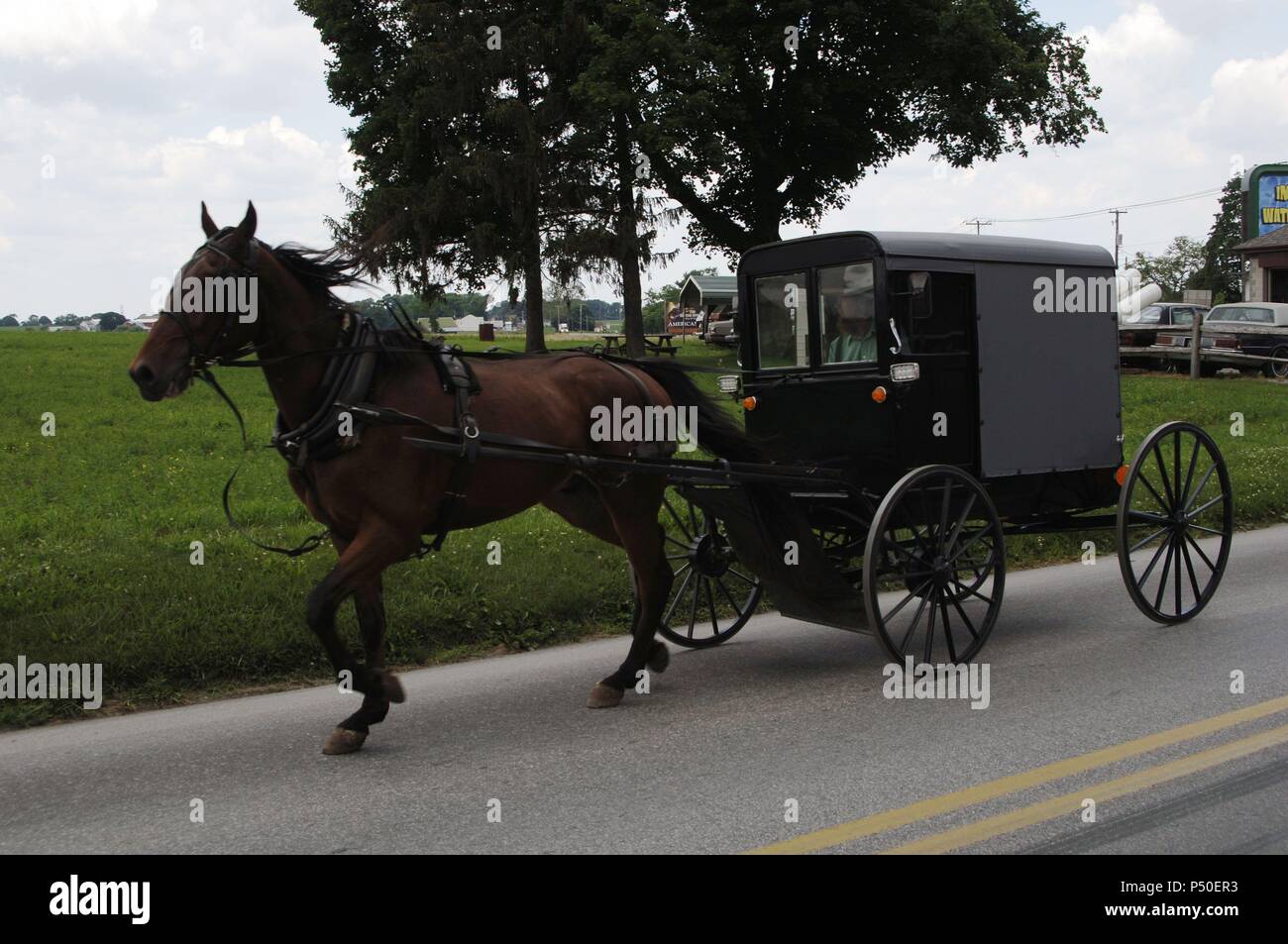 Typical amish carriage know Buggy. Lancaster County. United States ...