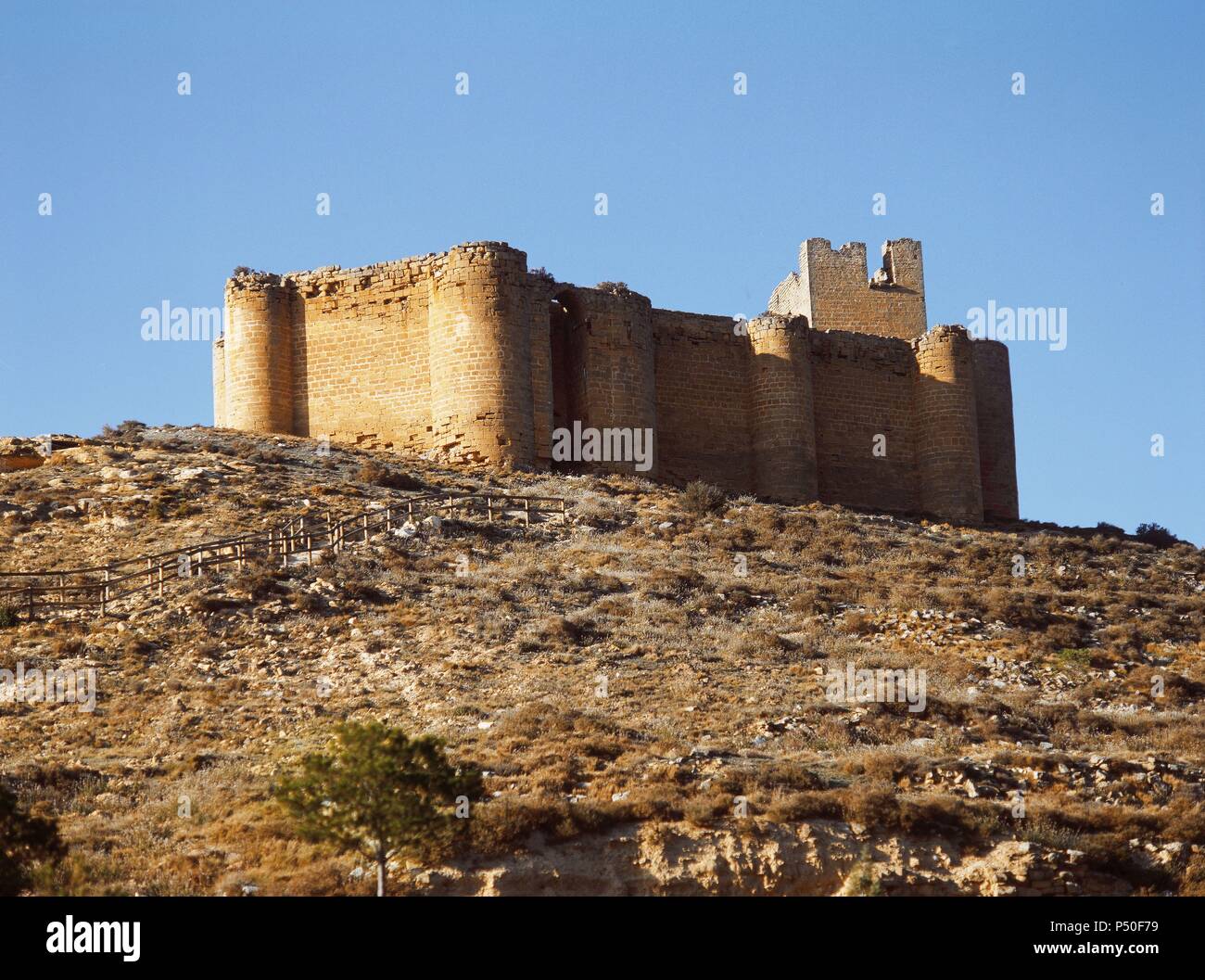 Davalillo hi-res stock photography and images - Alamy