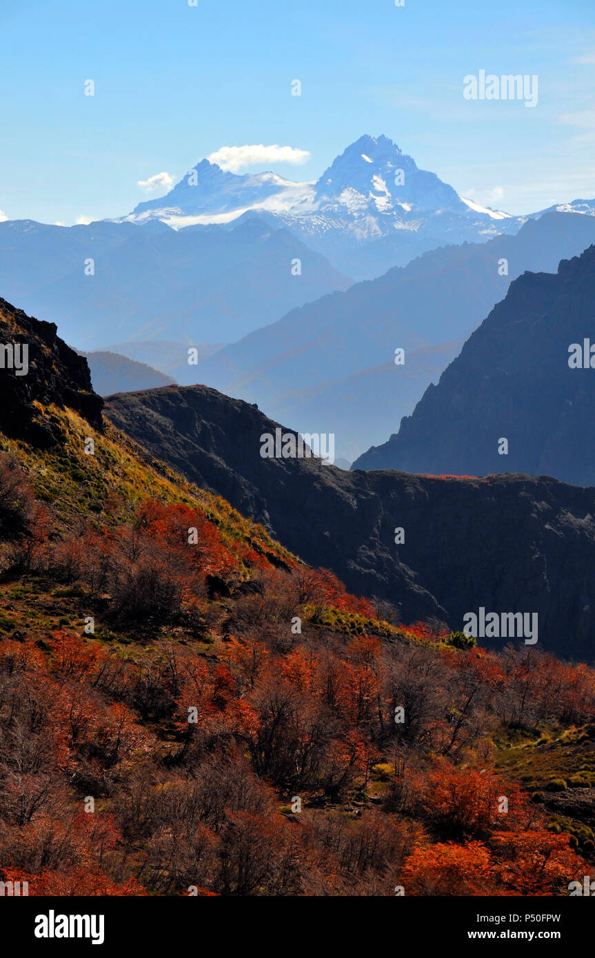 Bosques chile hi-res stock photography and images - Alamy