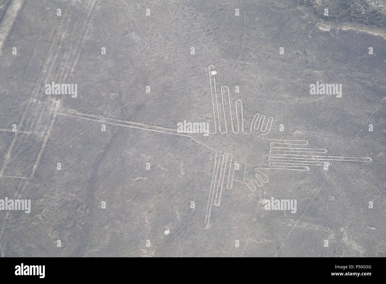 Lineas de nazca el colibri hi-res stock photography and images - Alamy