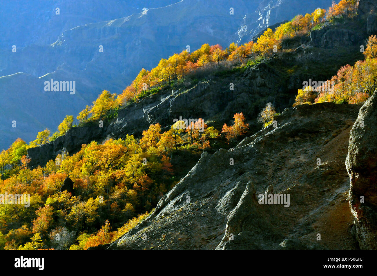 Bosques chile hi-res stock photography and images - Alamy