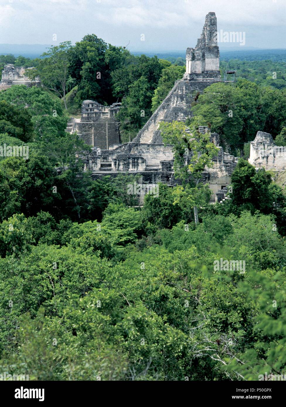 Pre-Columbian Art. Maya. Tikal. Ruins. Peten region. Guatemala Stock ...