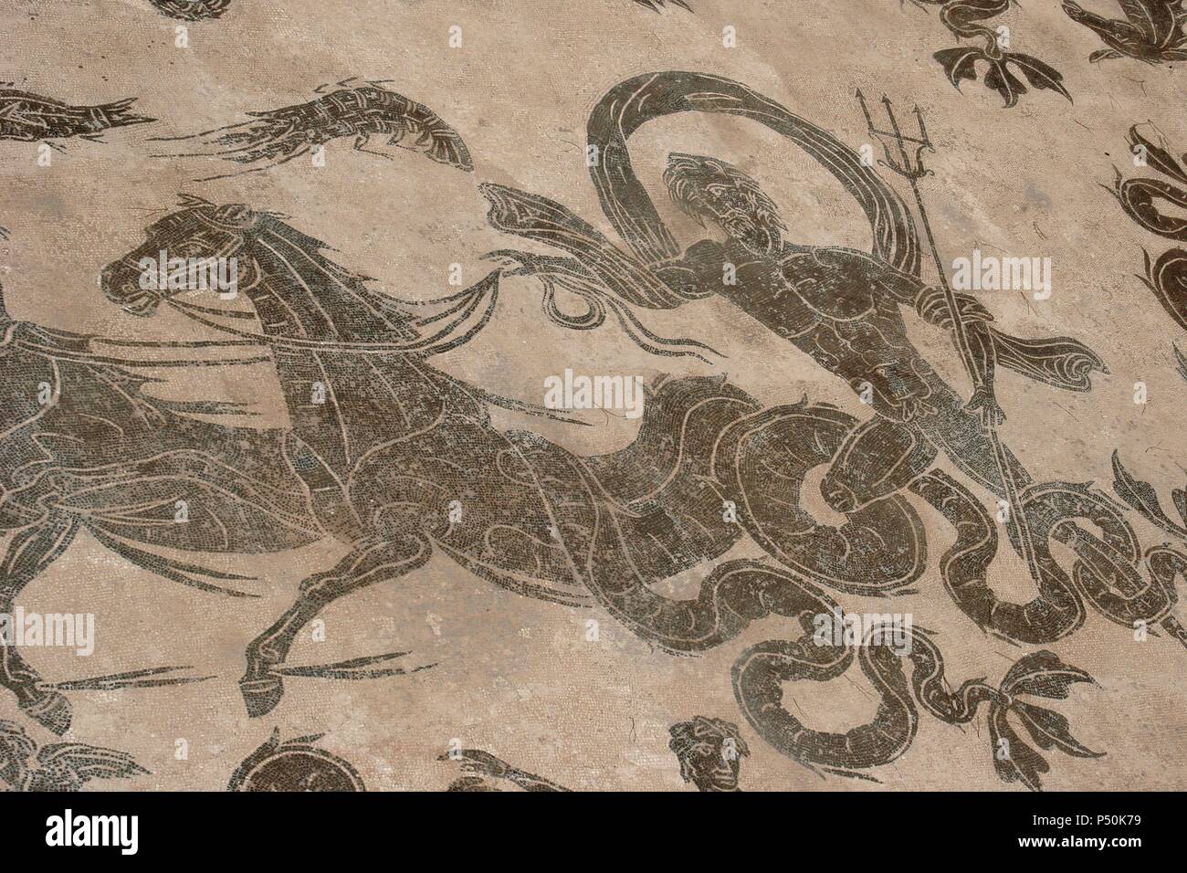 Roman mosaic. Neptune riding a chariot. Detail. Baths of Neptune. Ostia ...