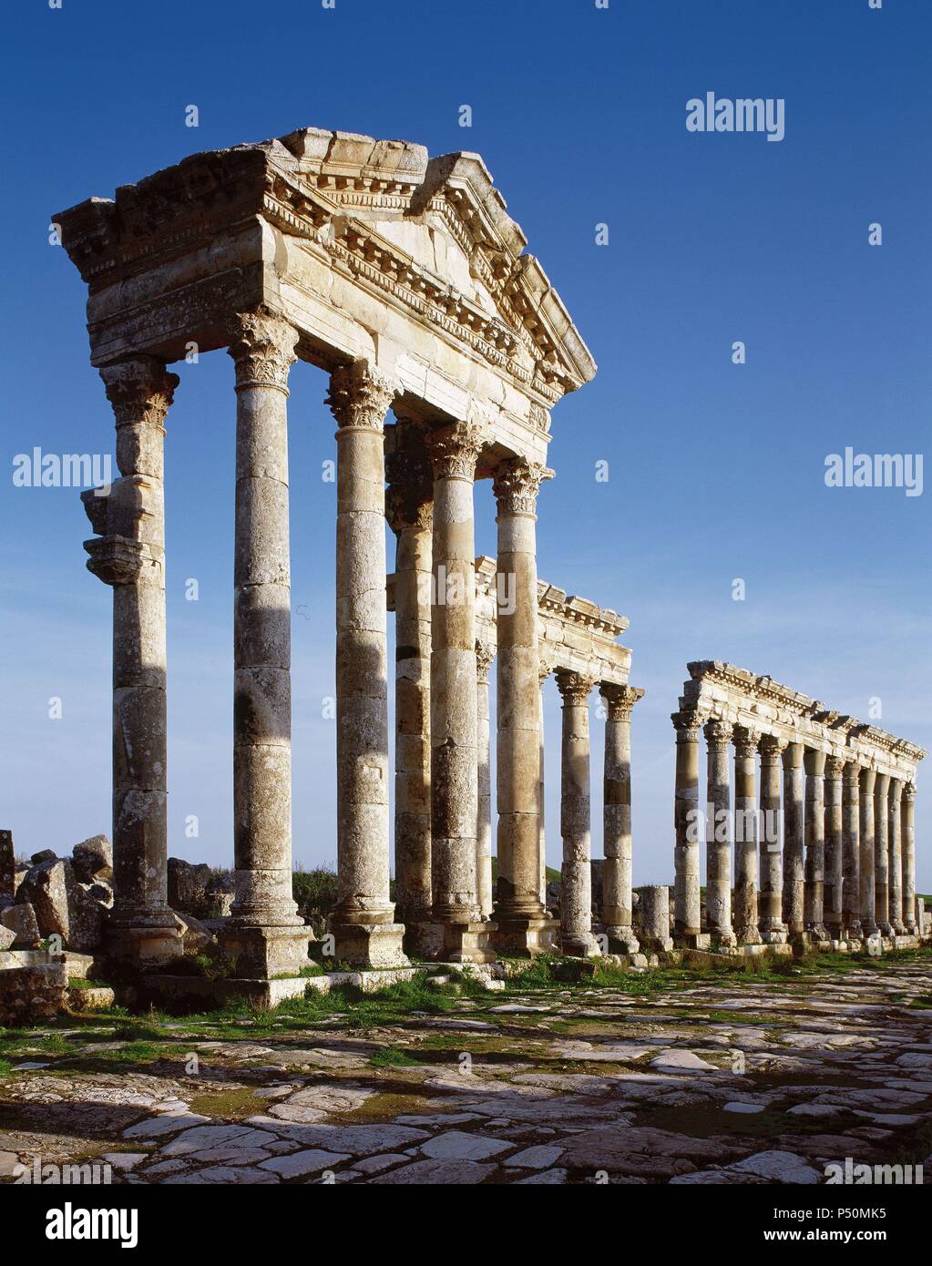 Cardo romano hi-res stock photography and images - Alamy