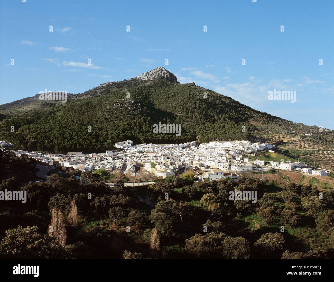 Andalucia provincia cadiz españa hi-res stock photography and images ...