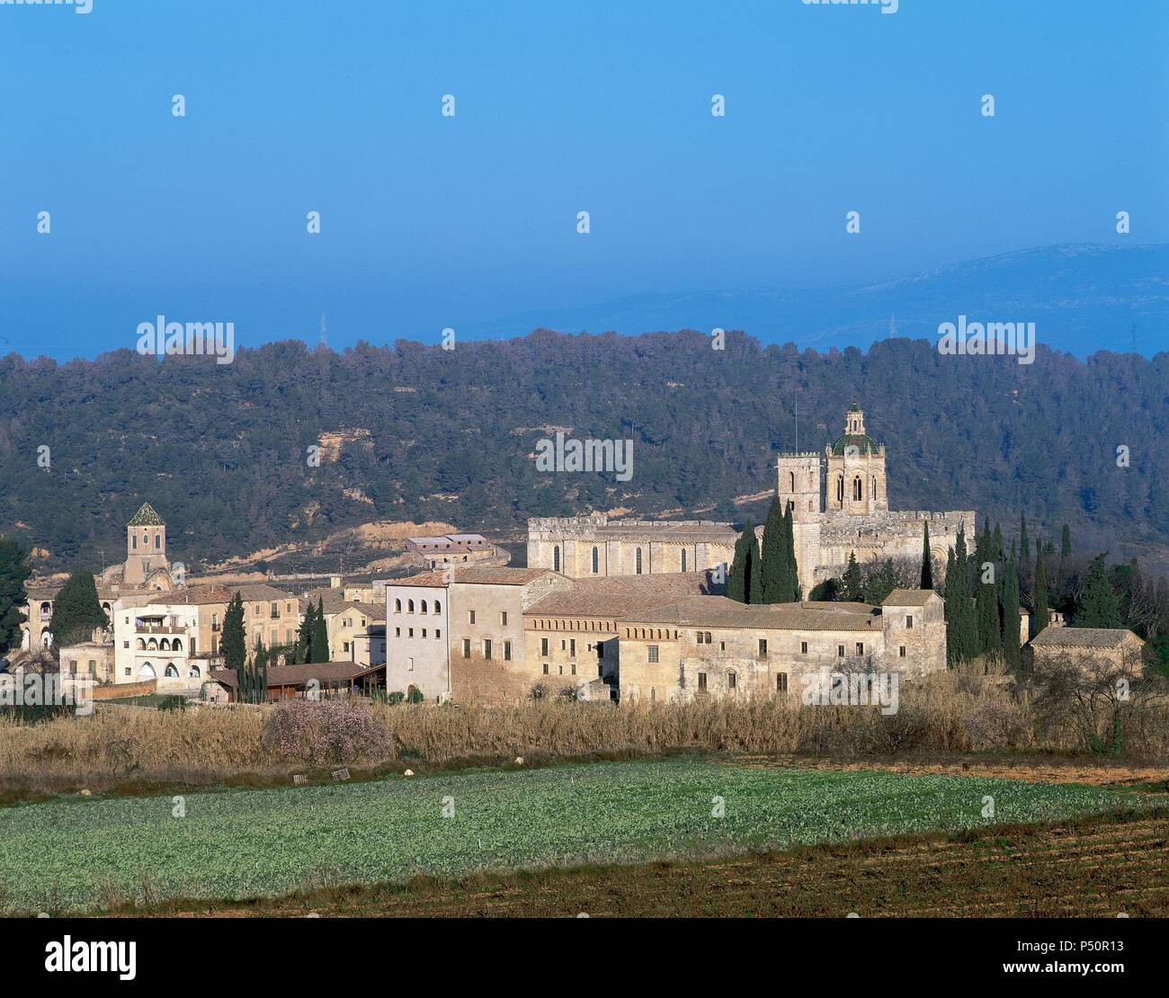 Spain. Catalonia. Monastery of Santes Creus. Church. 13th century ...