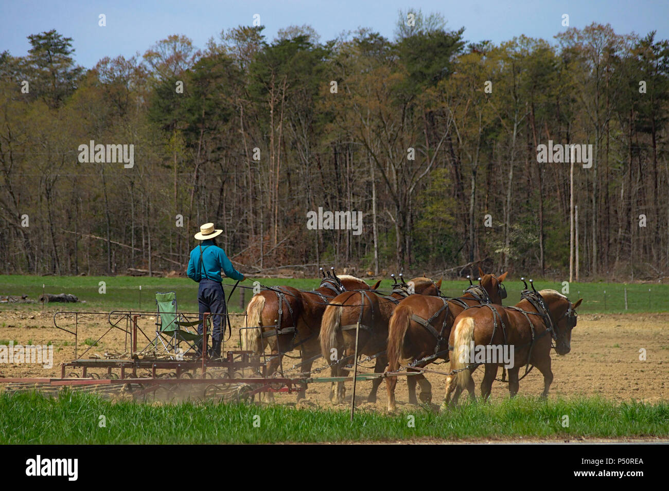 Amish Farmer High Resolution Stock Photography and Images - Alamy