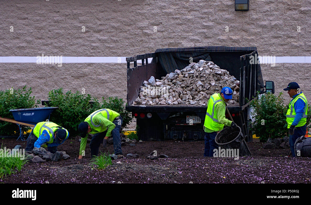 Public worker landscaping sidewalk hi-res stock photography and images ...