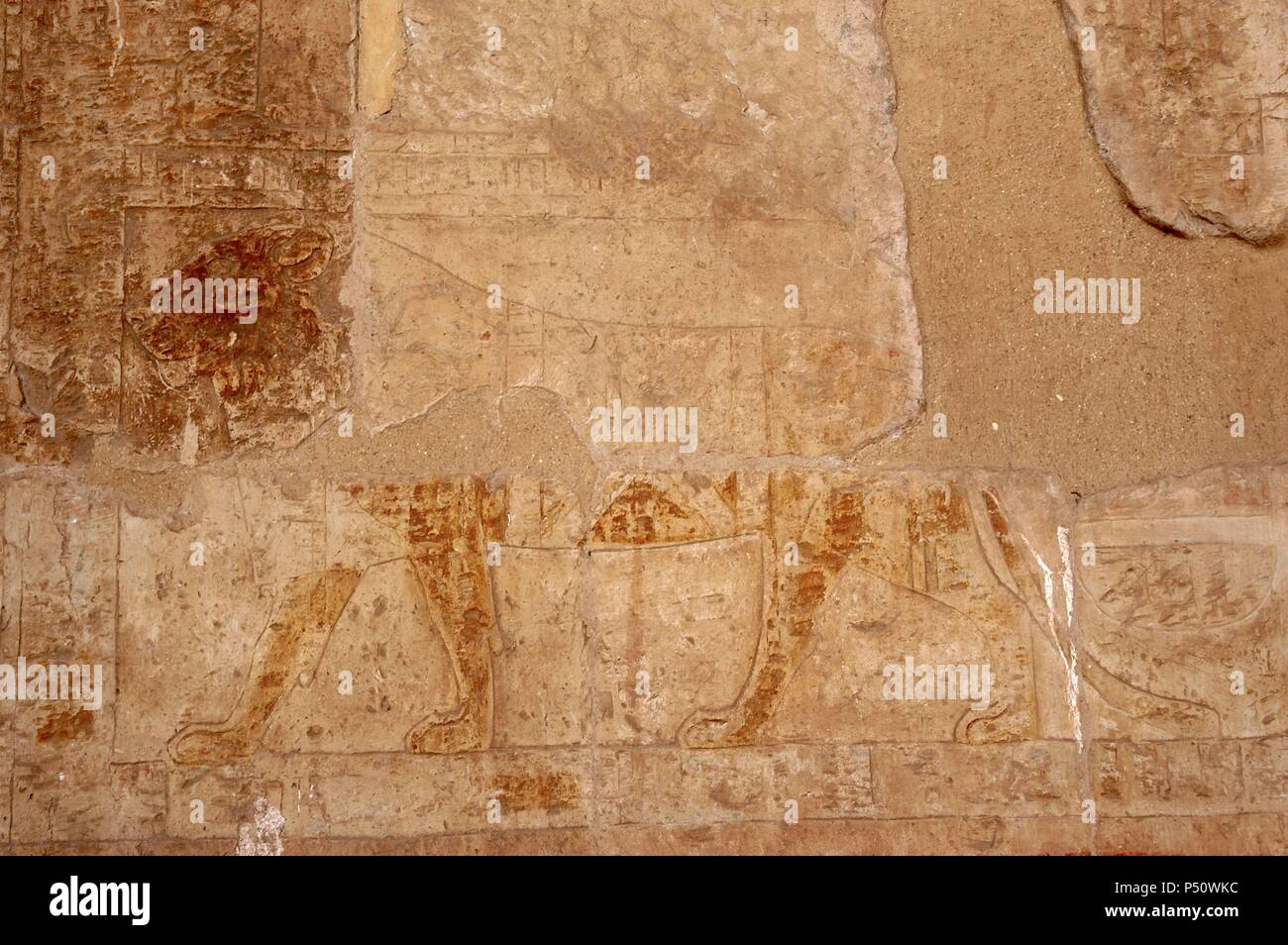 EGYPTIAN ART. Relief depicting a lion. Temple of Hatshepsut, Queen of ...