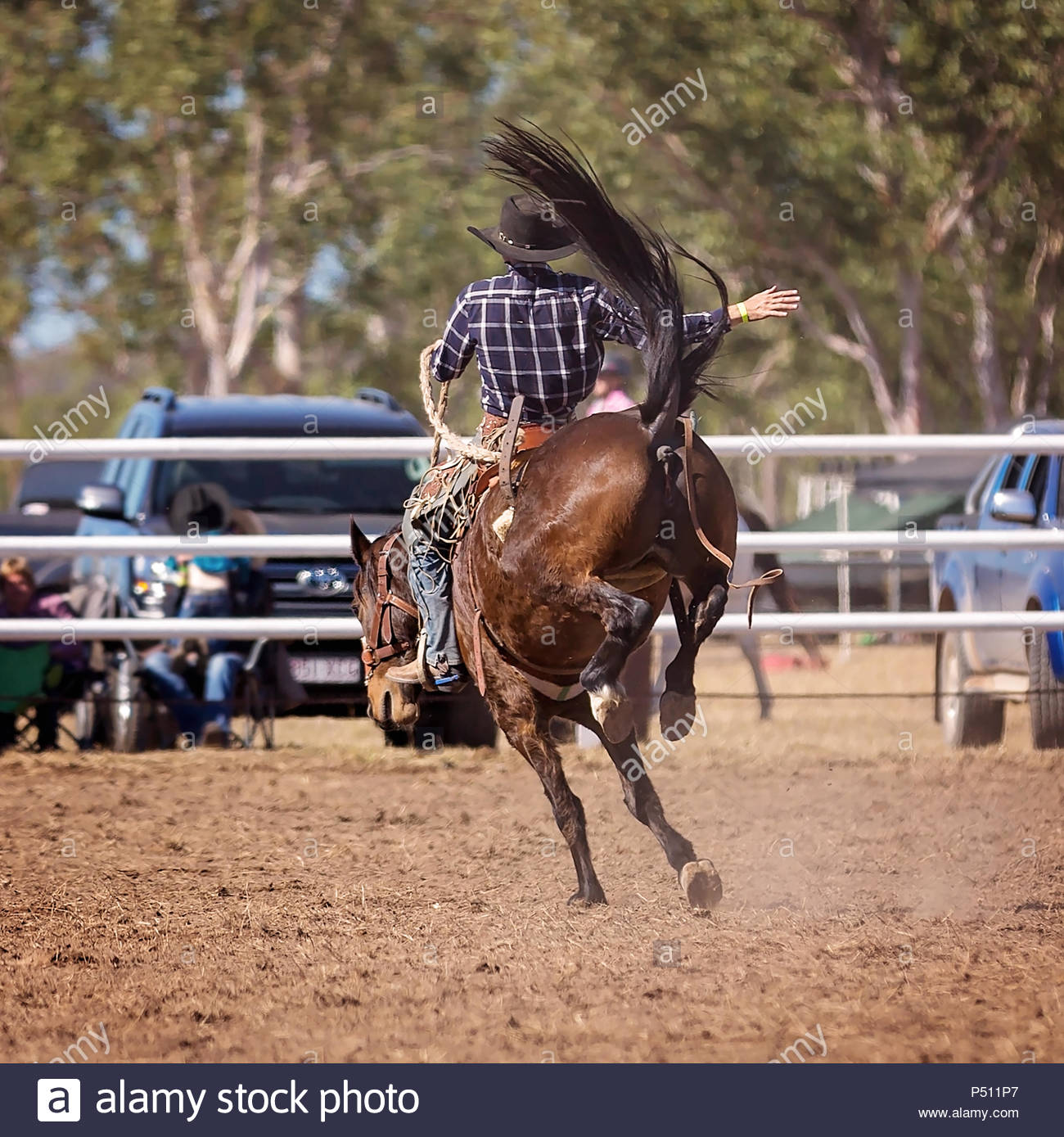 Bucking Bronco Stock Photos & Bucking Bronco Stock Images - Alamy