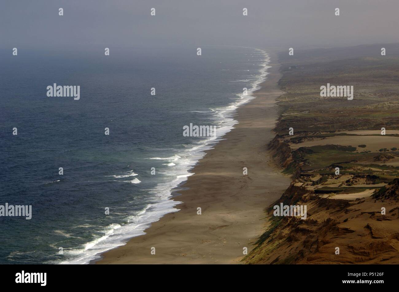 ESTADOS UNIDOS. POINT REYES NATIONAL SEASHORE. Panorámica de la PLAYA ...