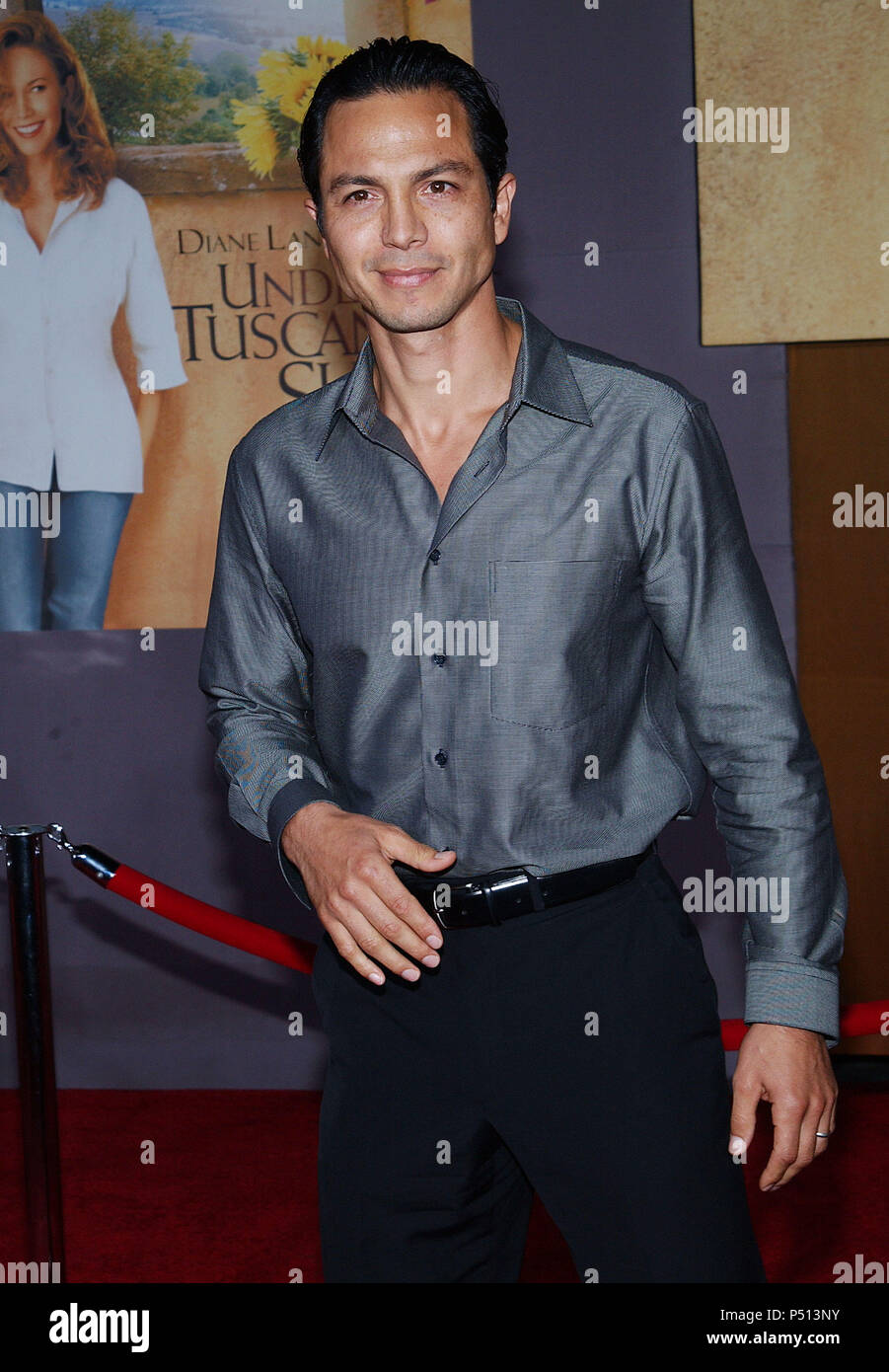 Benjamin Bratt Movies