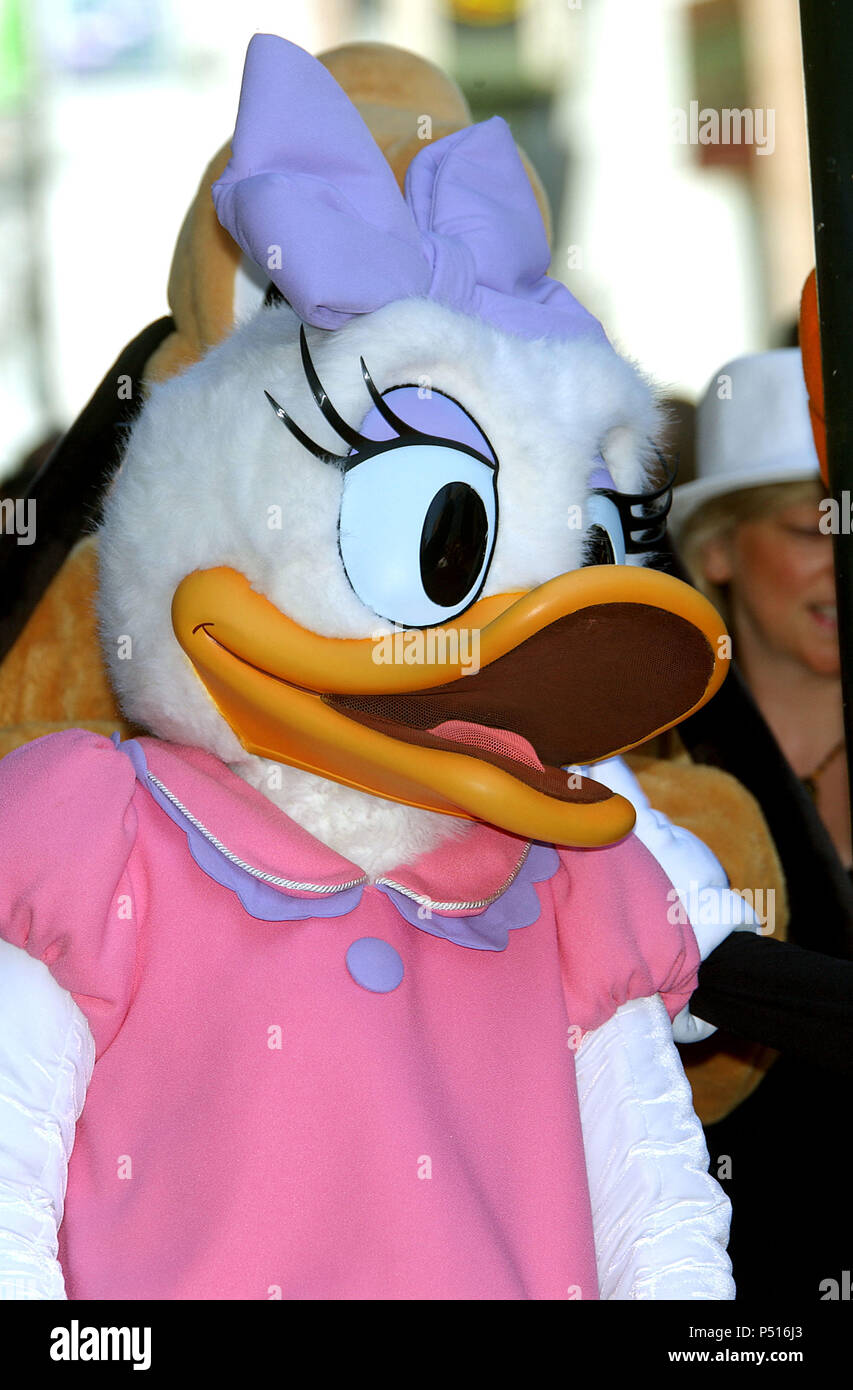Daisyduck017 red carpet event hi-res stock photography and images - Alamy