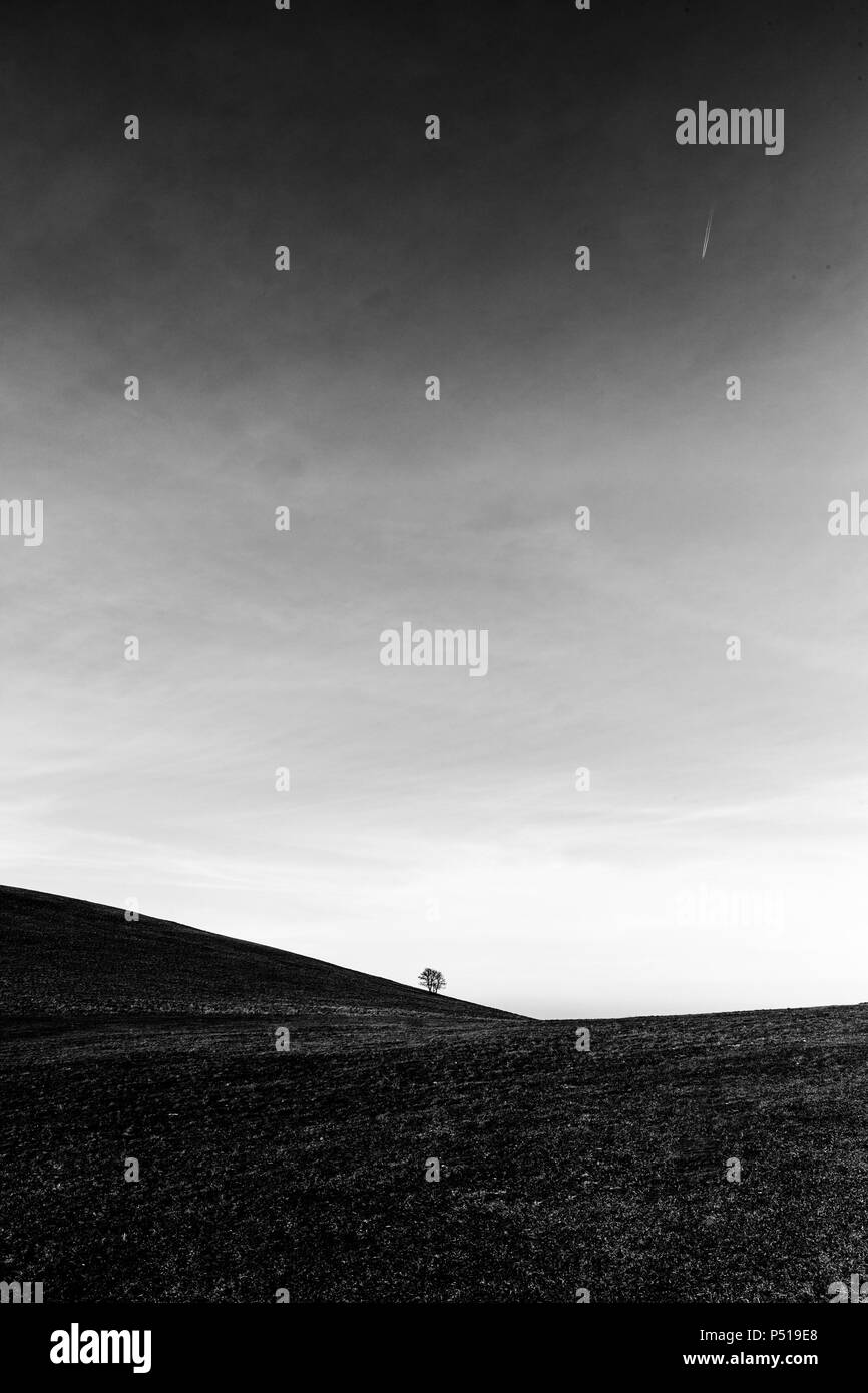 A distant, lonely tree on a bare hill, beneath a big sky with white ...