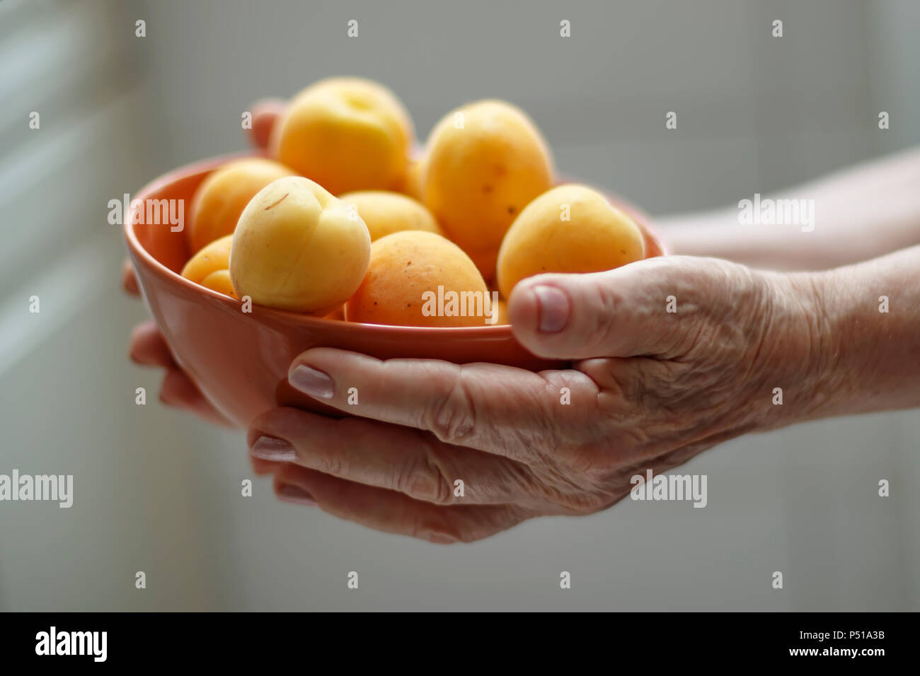 Hands holding apricots hi-res stock photography and images - Alamy