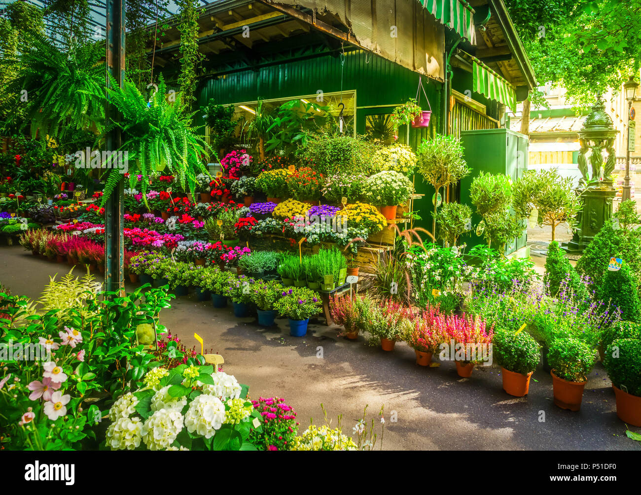 Paris flower market Stock Photo - Alamy