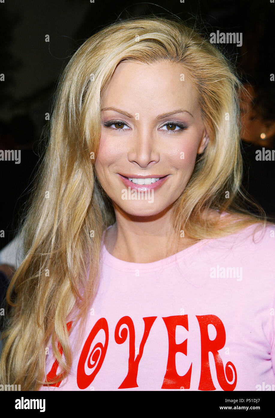 Cindy Margolis arriving at the Premiere of The Perfect Score at the ...