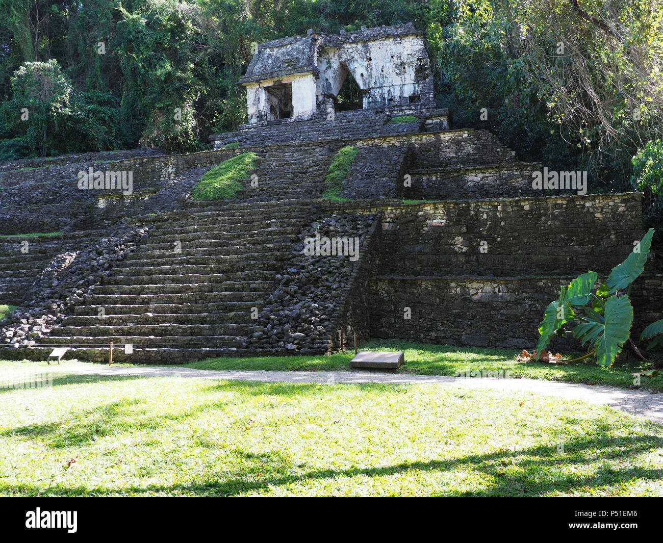 Impressive stony pyramid at ancient mayan National Park of Palenque ...