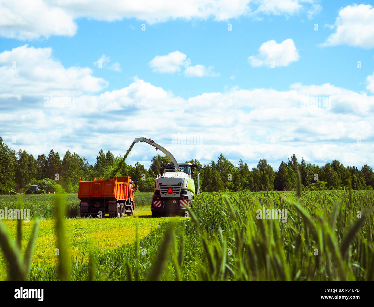 Agricultural machines cleaning for silage, harvesting combine Stock ...