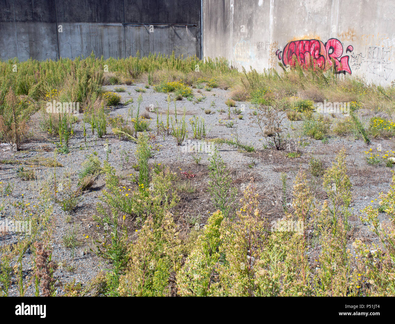 Concrete section hi-res stock photography and images - Alamy