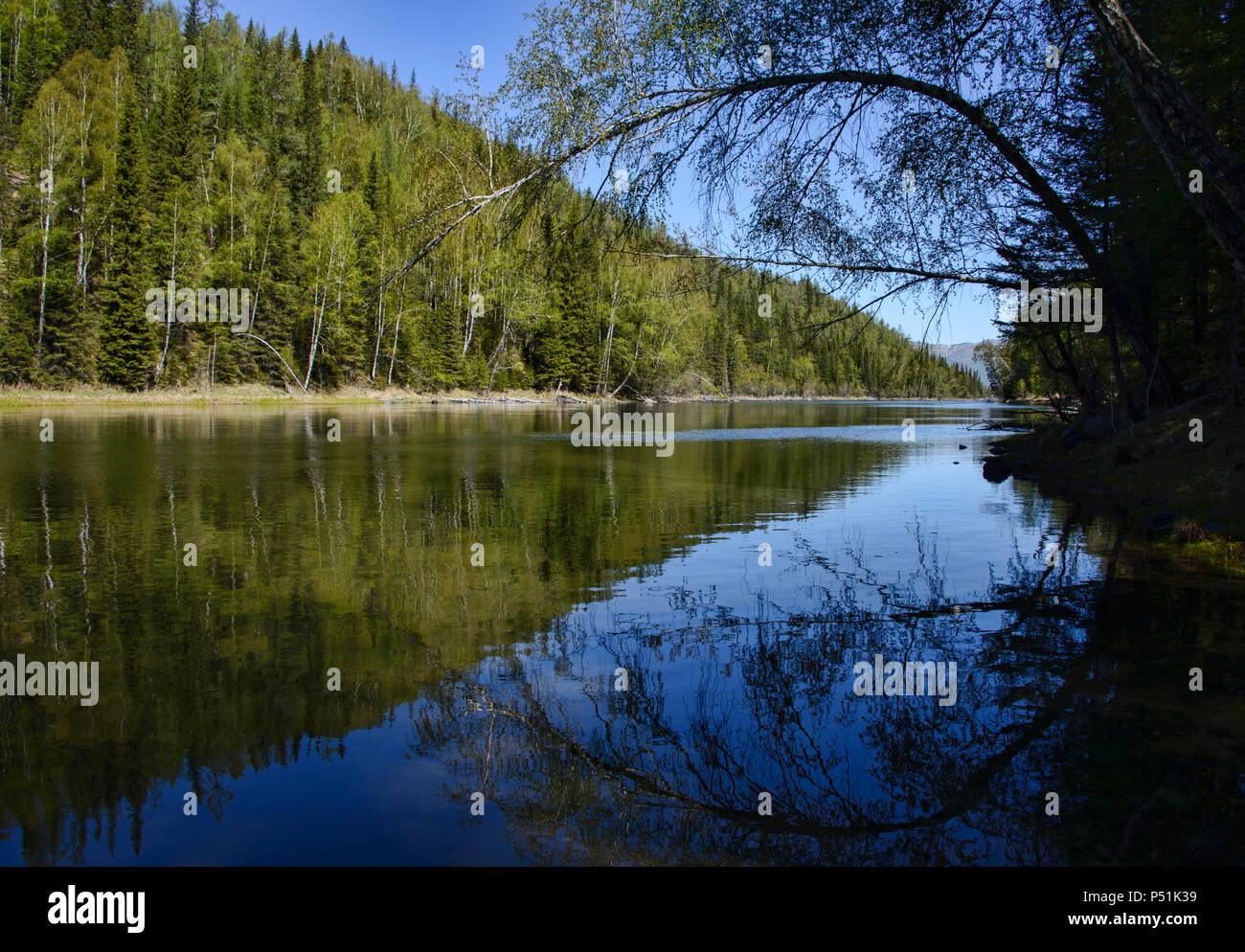 Kanas River at Kanas Lake National Park, Xinjiang, China Stock Photo ...