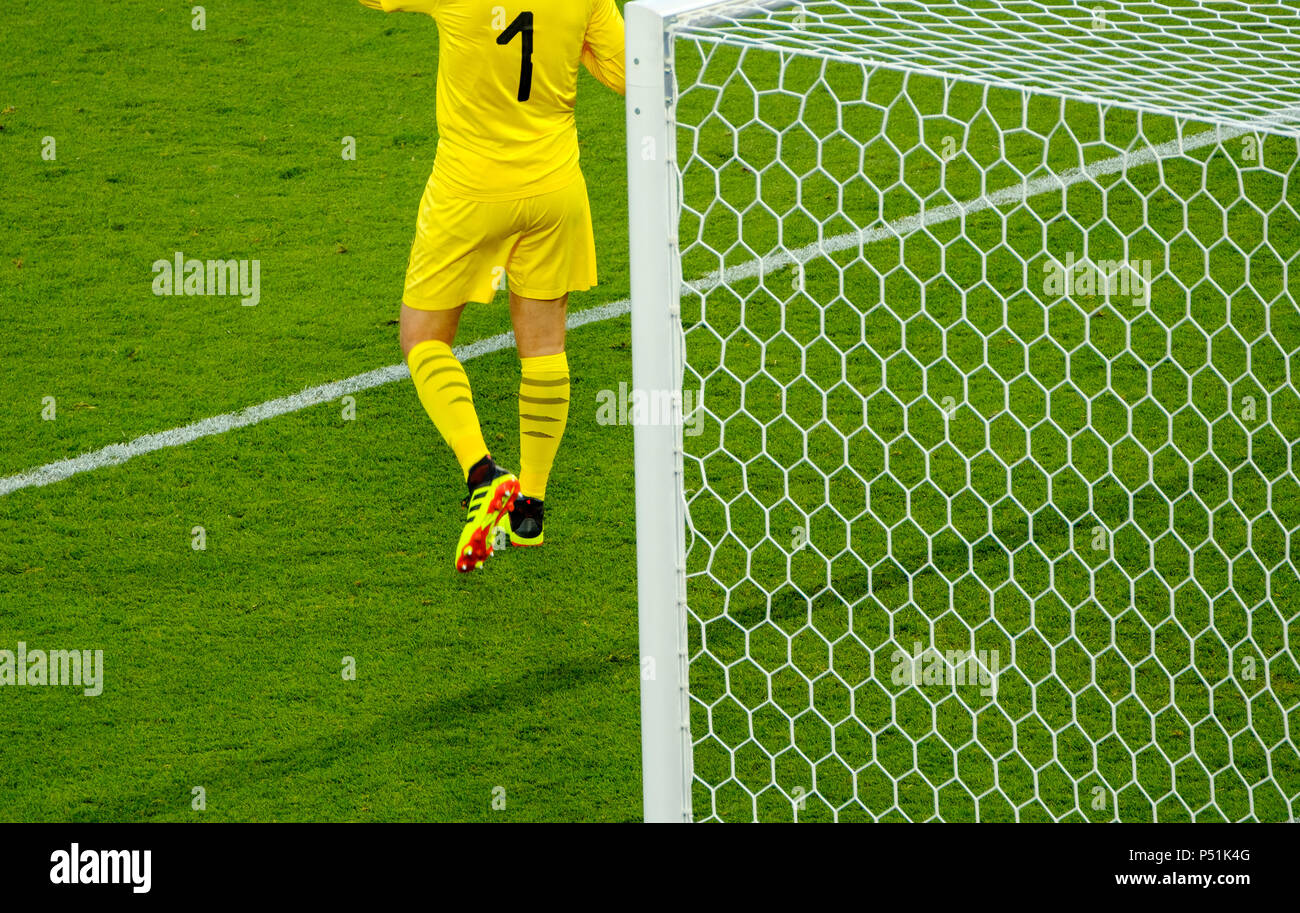 Goalkeeper back view on a soccer field Stock Photo - Alamy