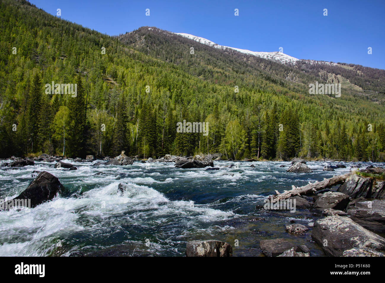 Kanas River at Kanas Lake National Park, Xinjiang, China Stock Photo ...